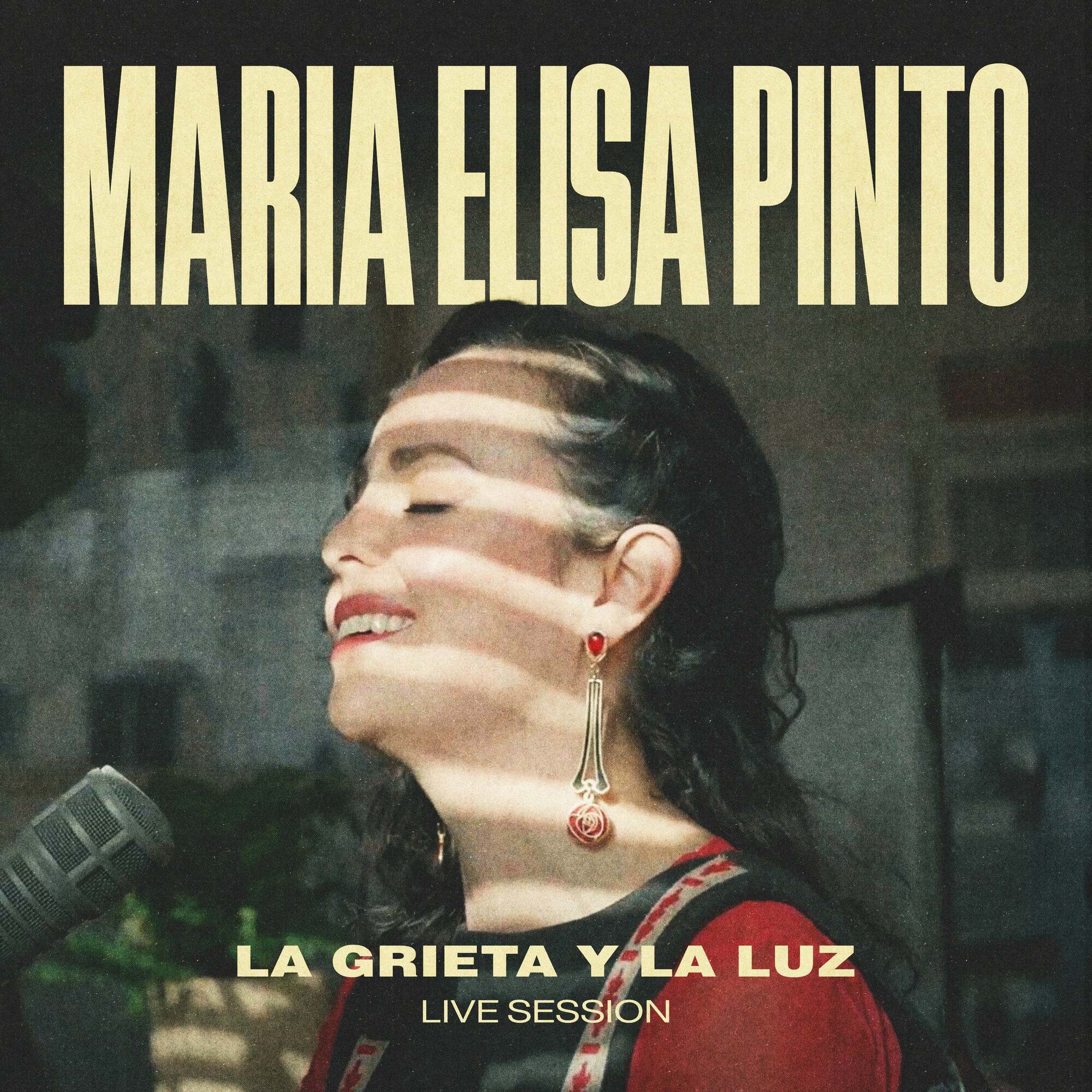La Grieta y La Luz by Maria Elisa Pinto