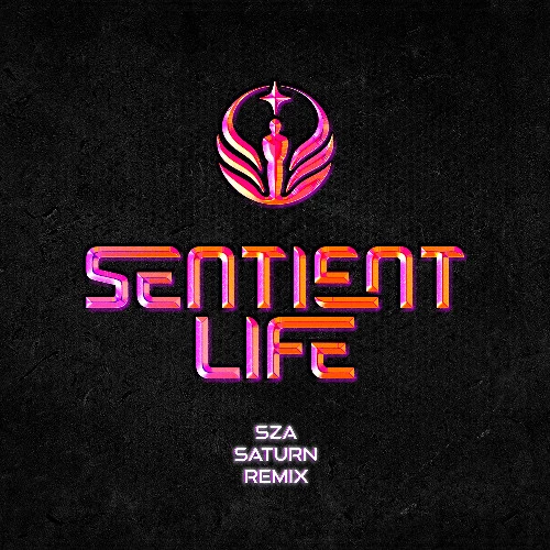 SZA - Saturn (Sentient Life Remix) by Sentient Life | Free Download on ...