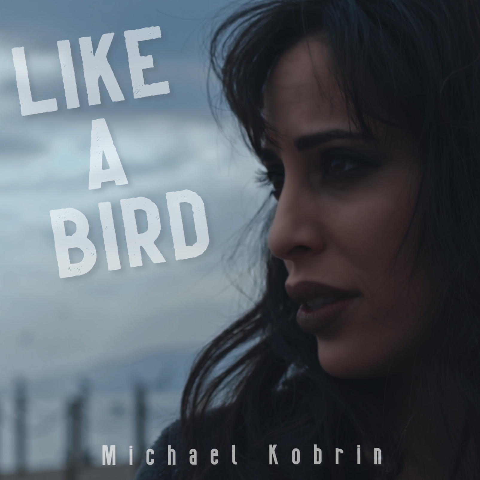 Like a bird by Michael Kobrin | Free Download on Hypeddit