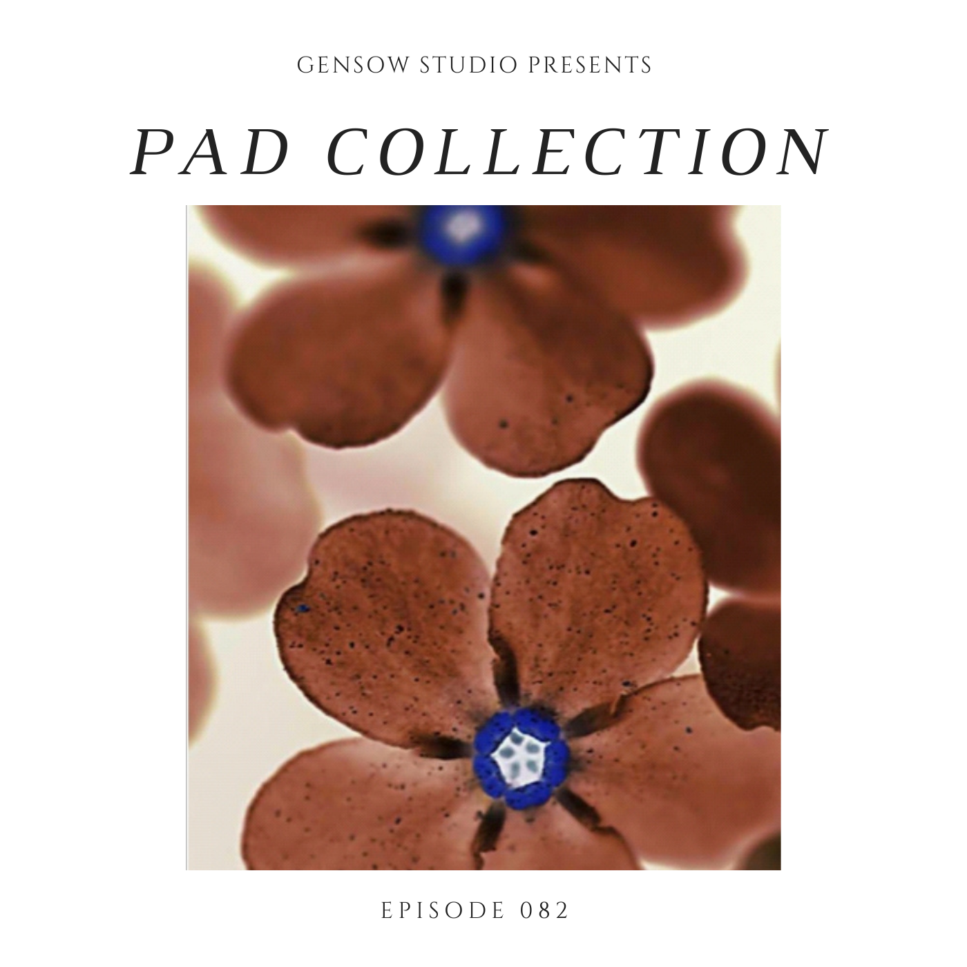 [FREE DOWNLOAD] Epic Pads Sample & MIDI Pack - Ambient, Cinematic ...