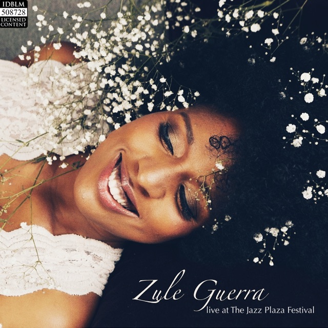 Live at the Jazz Plaza Festival by Zule Guerra