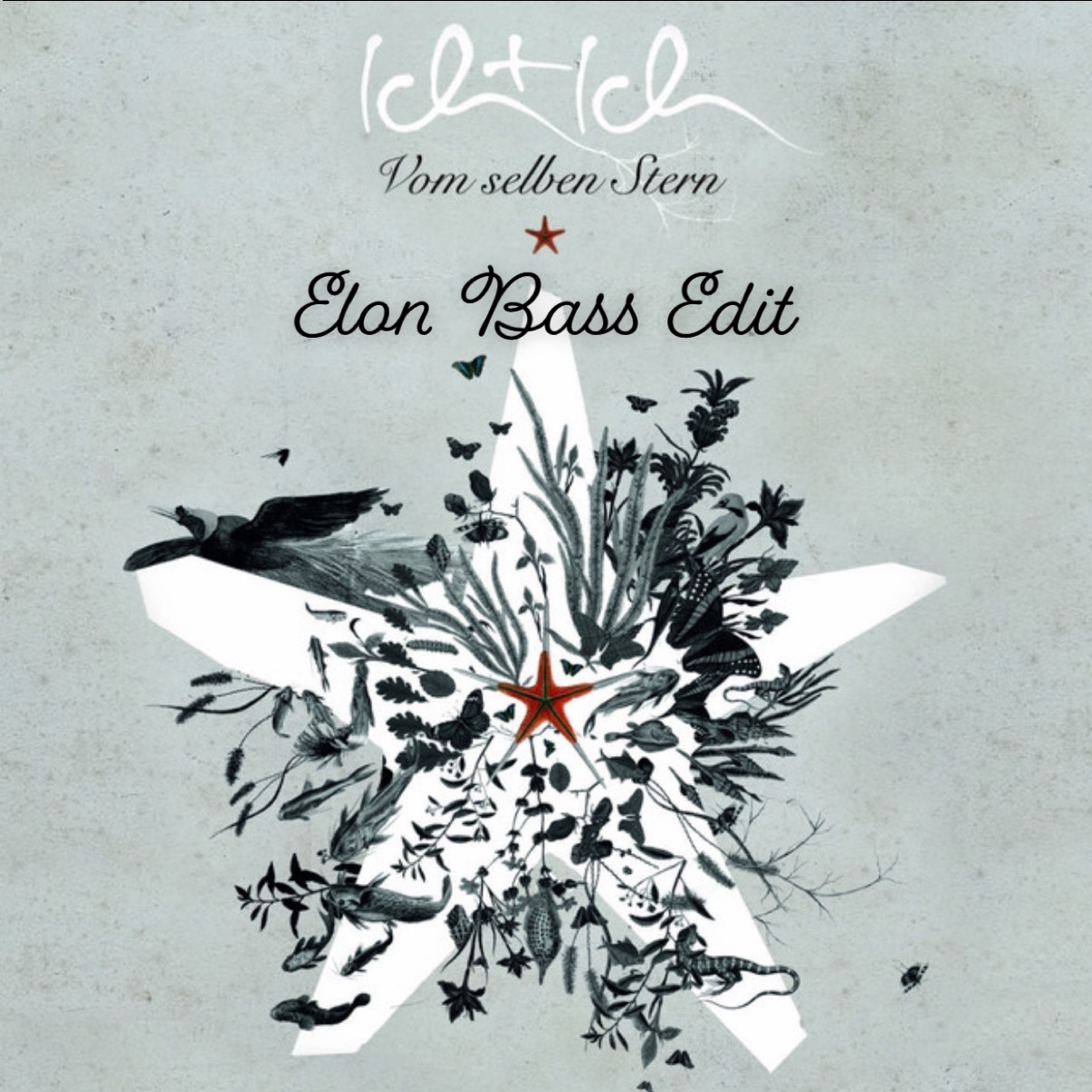 Vom Selben Stern by Elon Bass | Free Download on Hypeddit