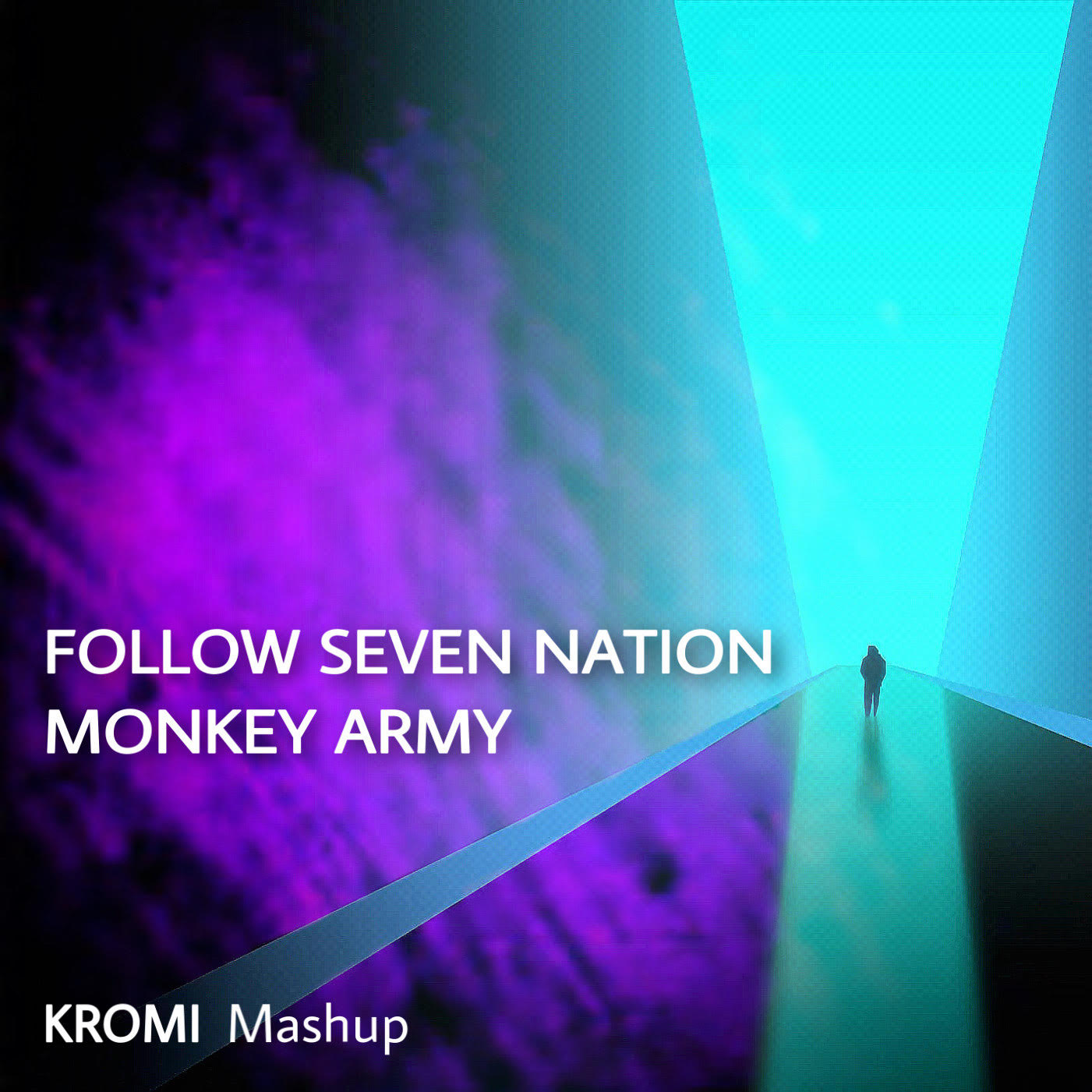 Follow Seven Nation Monkey Army by KROMI Mashup | Free Download on Hypeddit