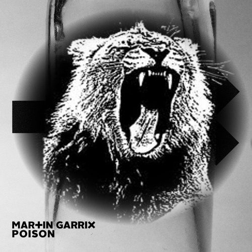 Animals vs. Poison (Martin Garrix Intro Mashup) by Martin Garrix | Free ...