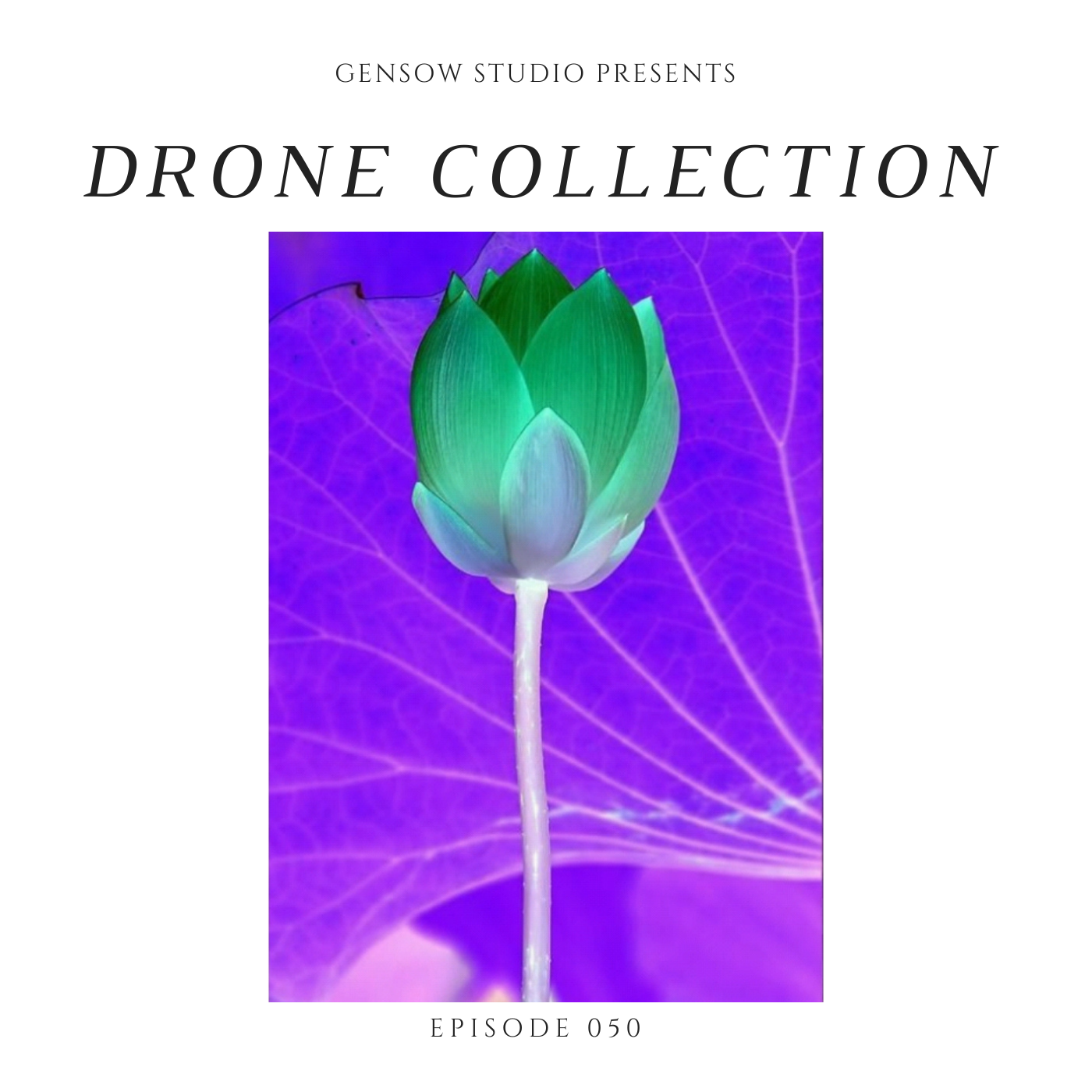 [FREE DOWNLOAD] Drone Sample Pack - Ambient, Cinematic Soundscapes ...