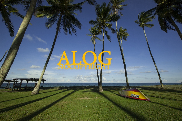 Coconut Blues(Alog No Copyright Royalty Free Music) by Wonki | Free ...