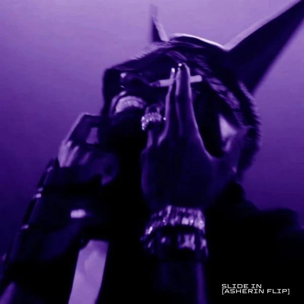 Playboi Carti - Slide In (Asherin Flip) by Asherin | Free Download on ...