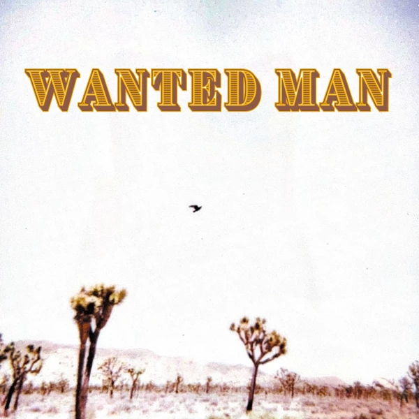 Wanted Man by Dan Agnello