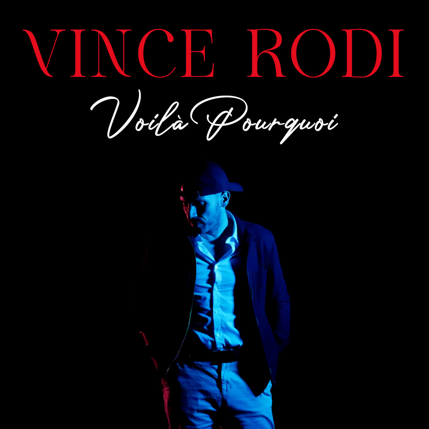 Voilà pourquoi by Vince Rodi