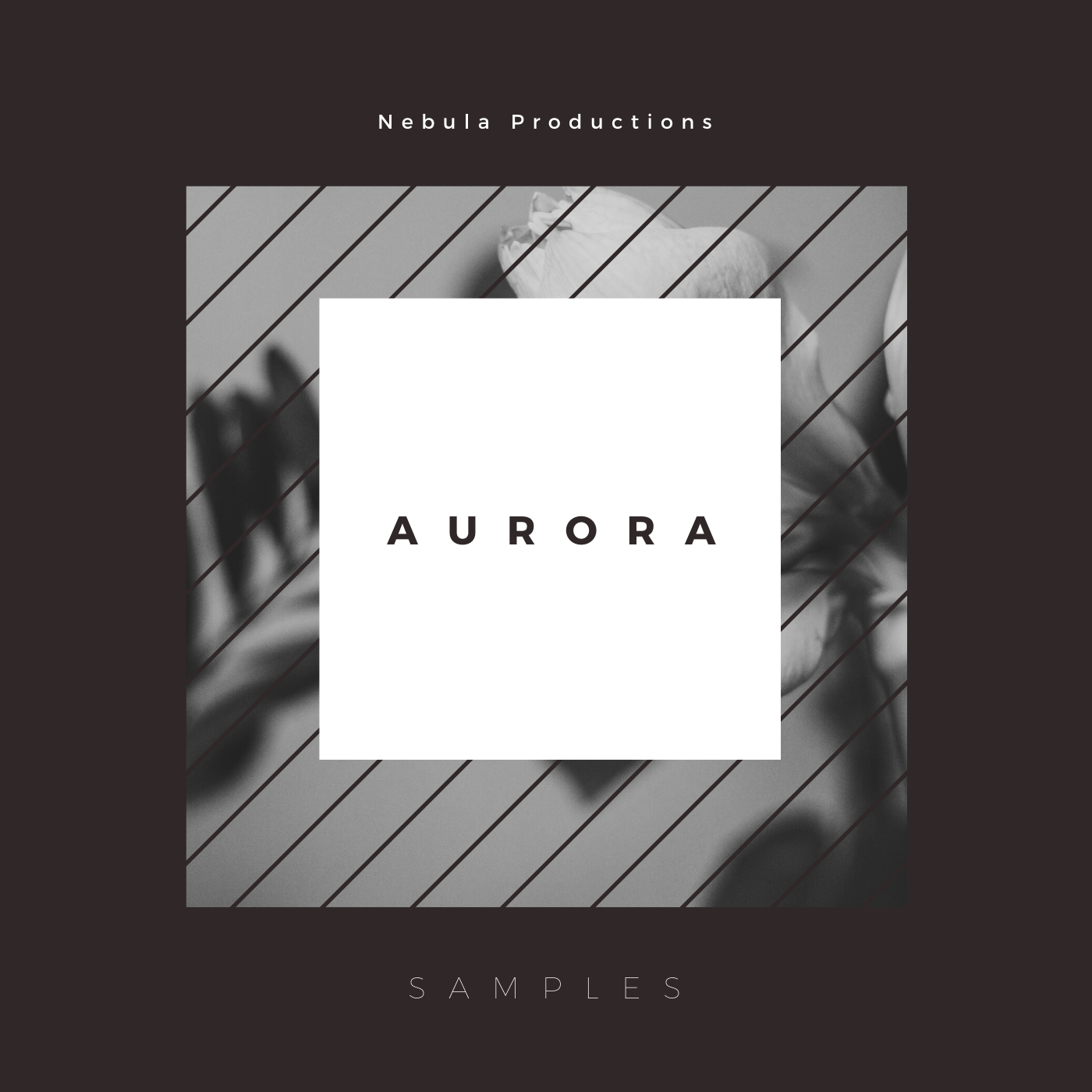 Aurora Loop Kit Sample by Nebula | Free Download on Hypeddit