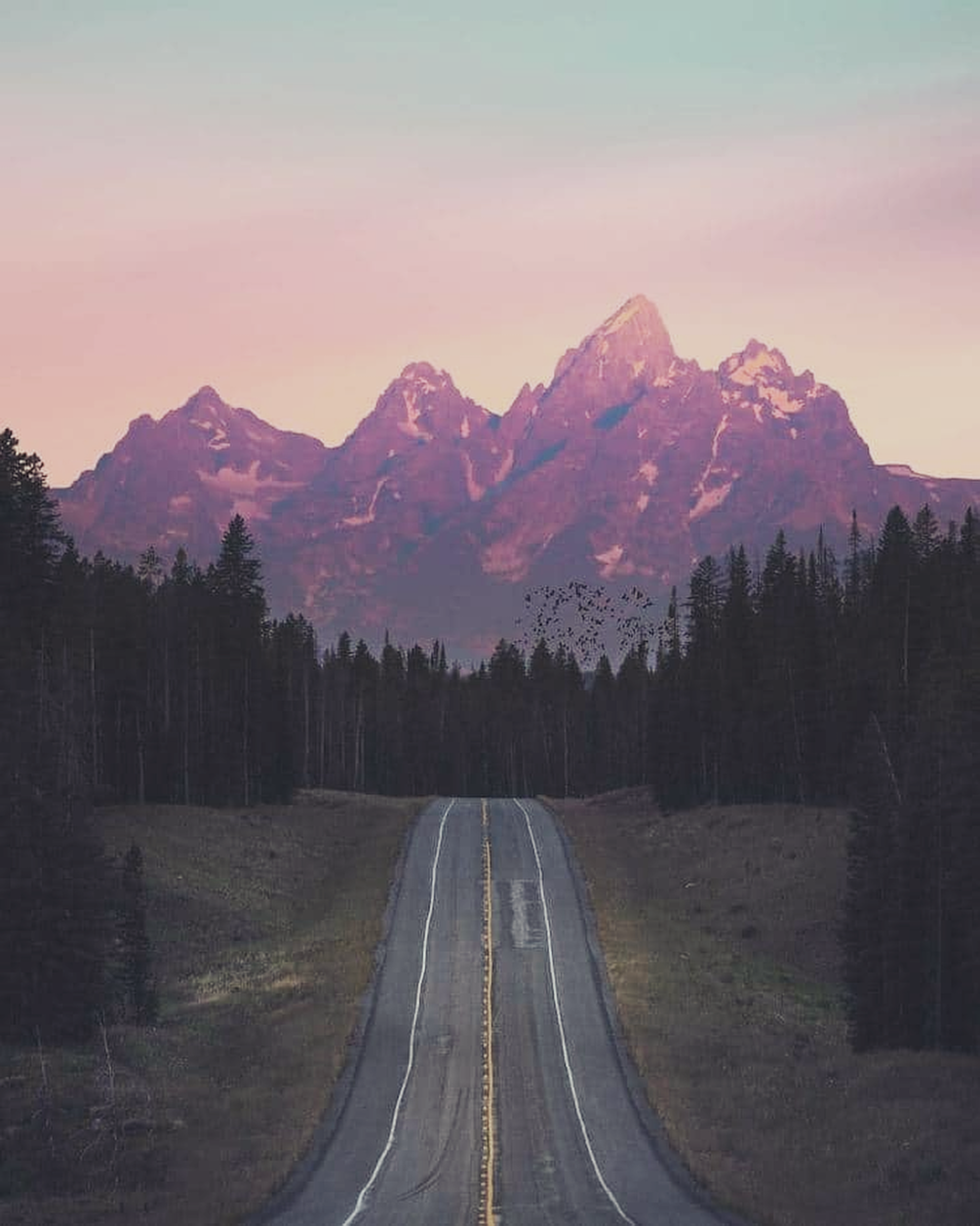 Don Apollo & Costa D'Ret - Endless Forest by Don Apollo & Costa D'Ret ...