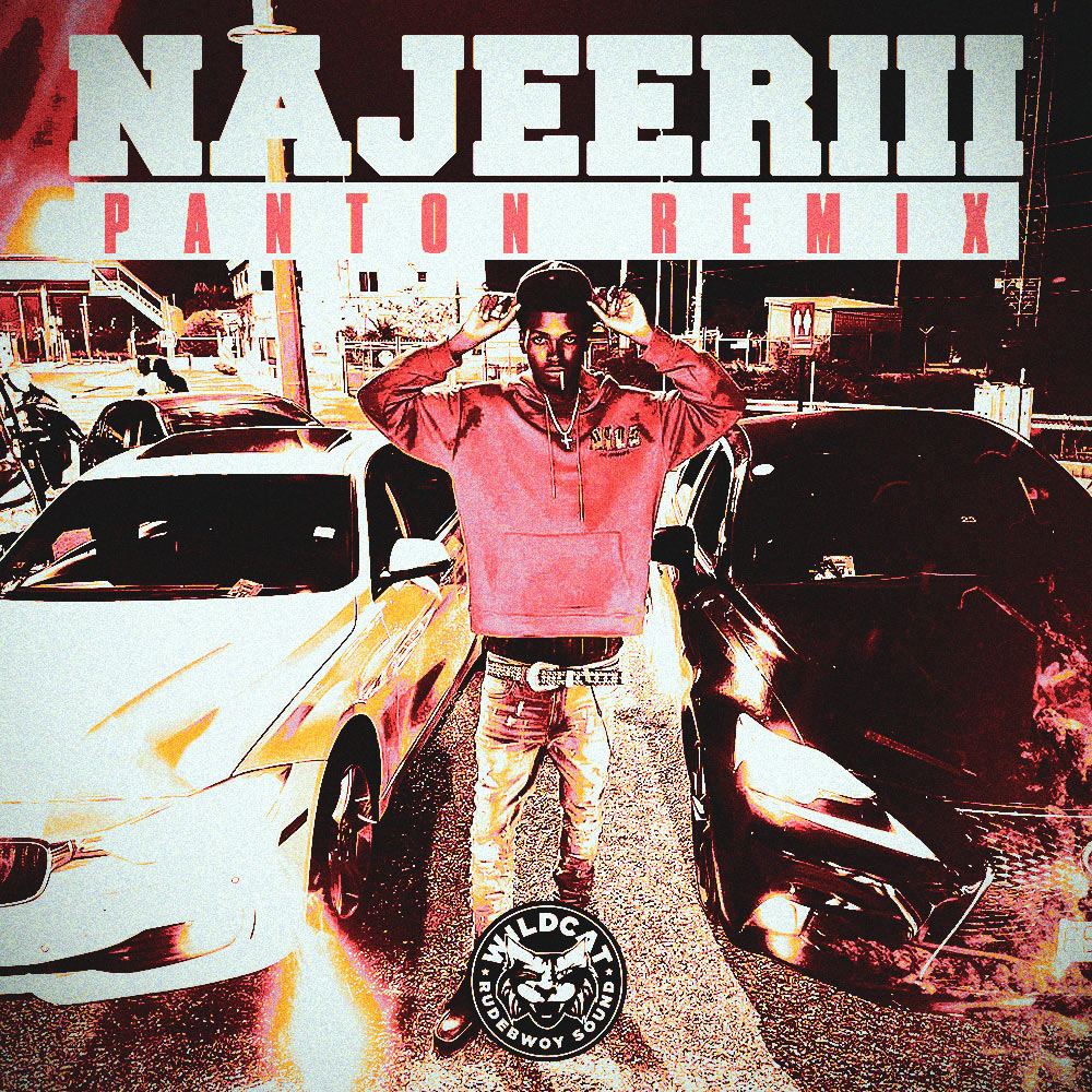 PANTON (WILDCAT RMX) by NAJEERIII | Free Download on Hypeddit