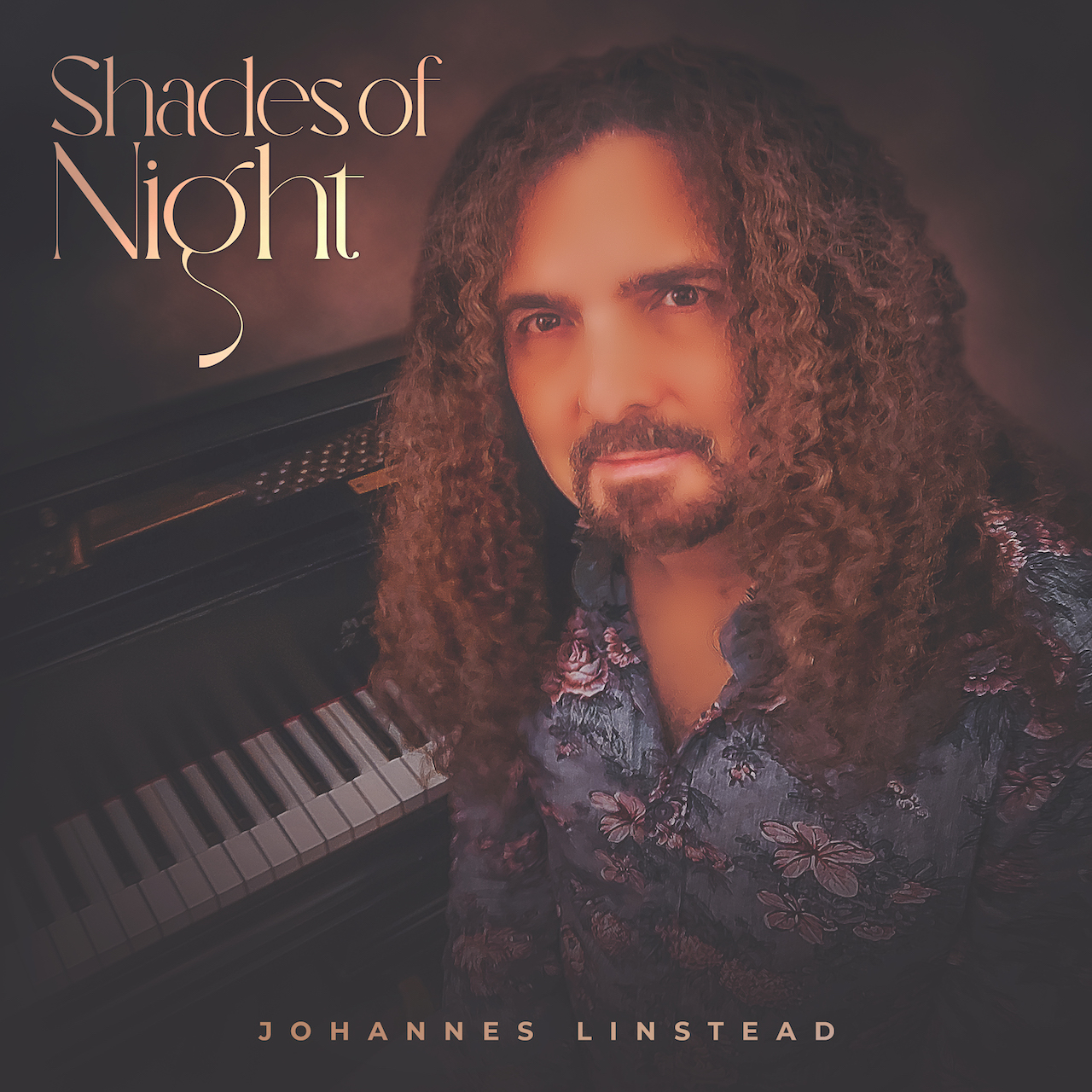 Shades of Night by Johannes Linstead