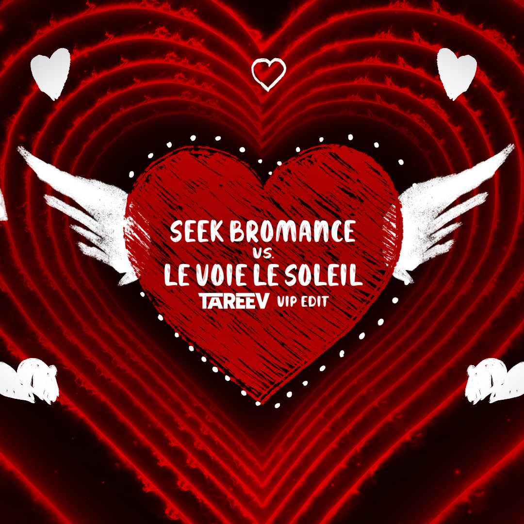 Seek Bromance vs. Le Voie Le Soleil ( TaReeV Vip Edit ) by Avicii vs ...