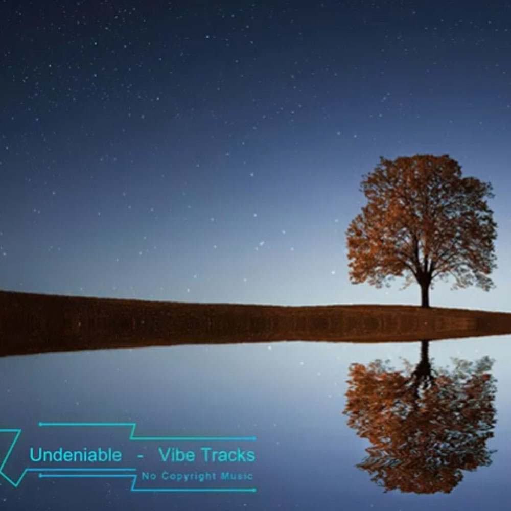 Undeniable by Vibe Tracks | Free Download on Hypeddit