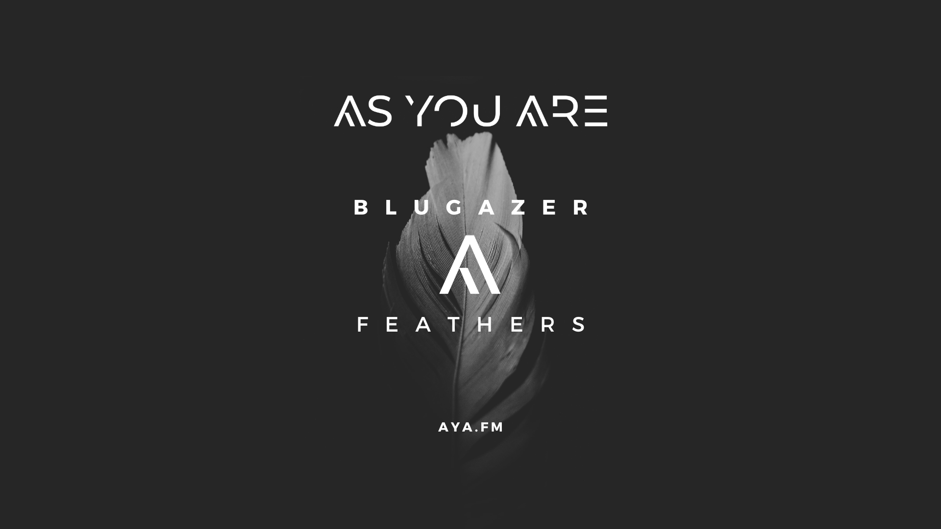 Feathers by Blugazer