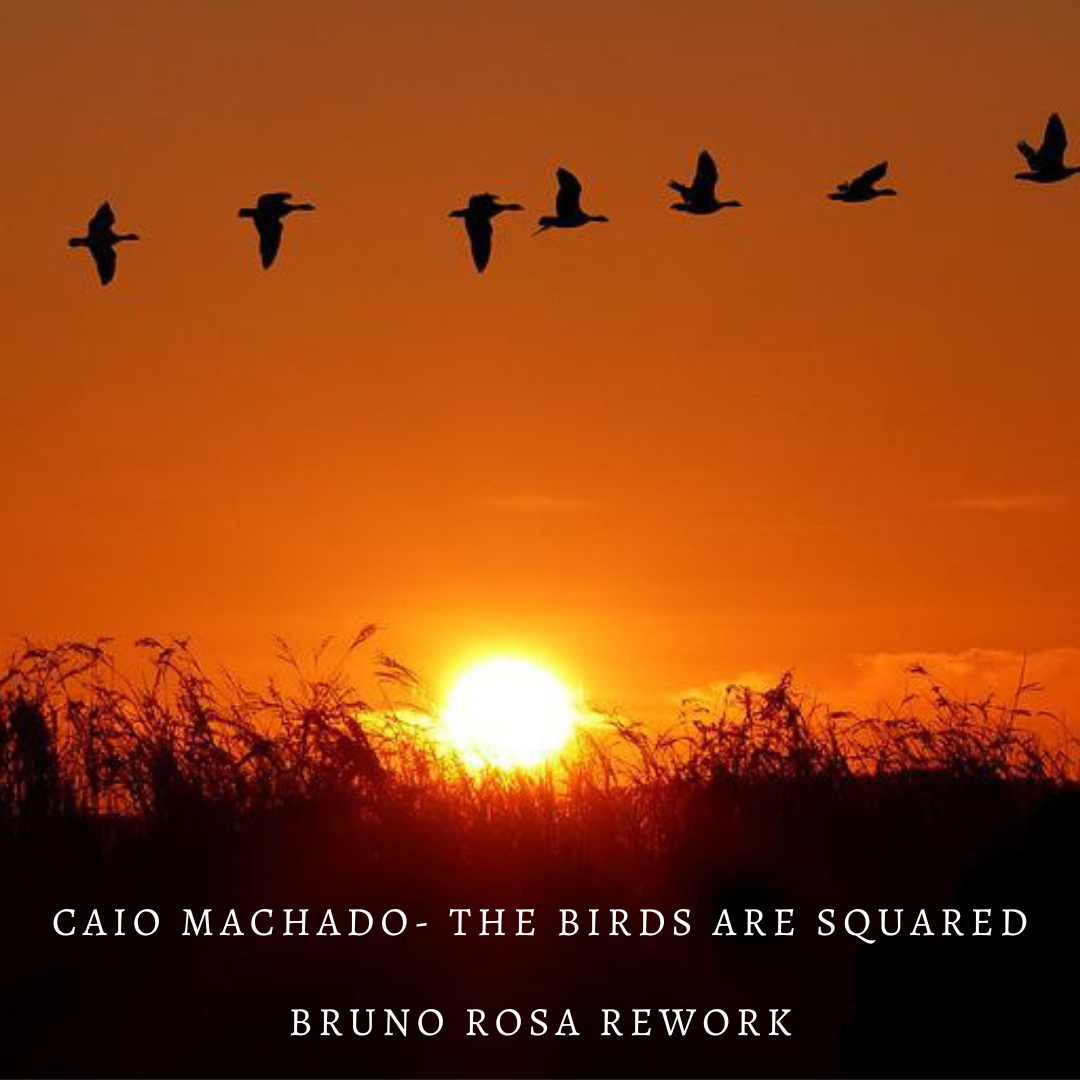 The birds are Squared (Bruno Rosa Rework) by Caio Machado | Free Download on Hypeddit