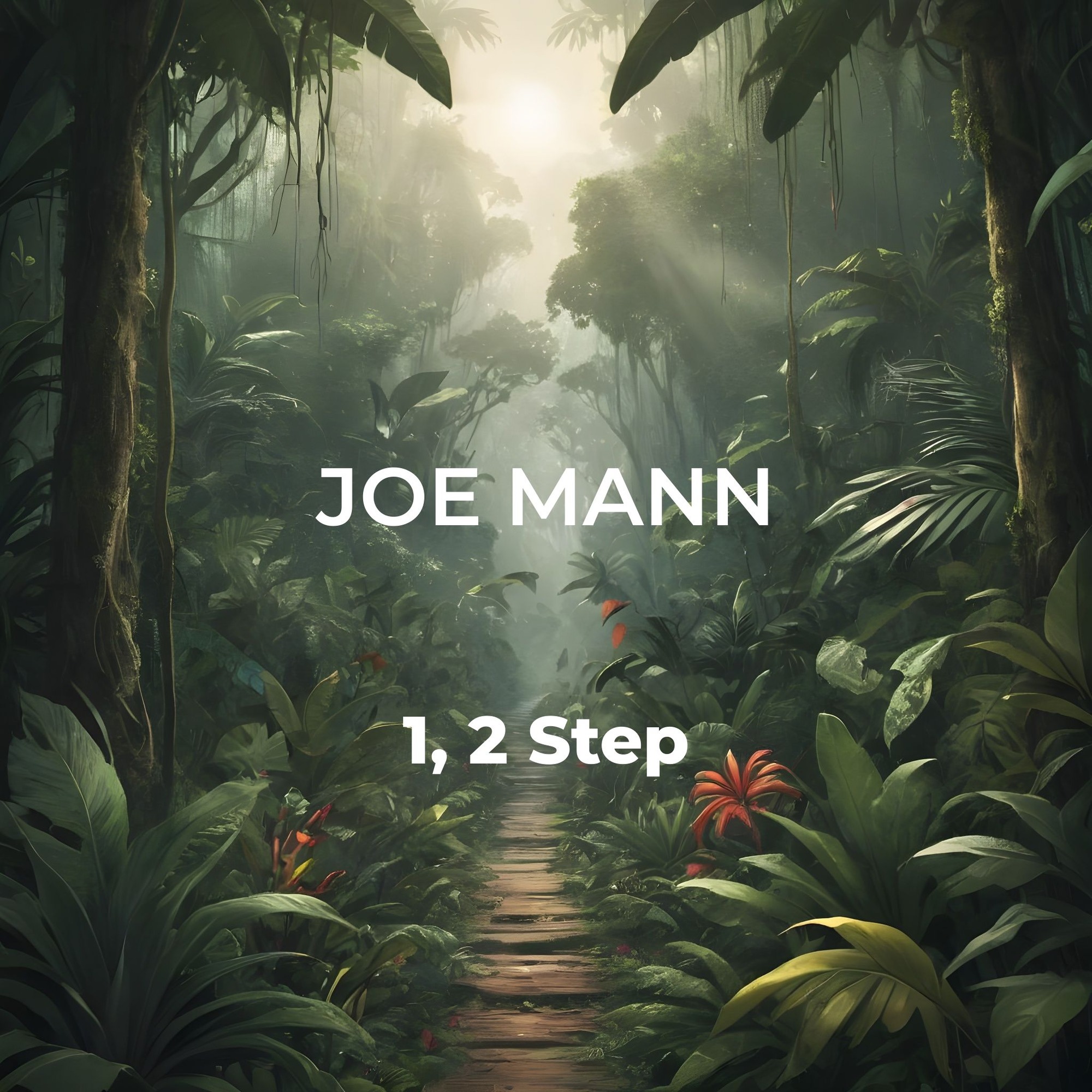 Joe Mann - 1, 2 Step (Extended Edit) by Joe Mann | Free Download on Hypeddit
