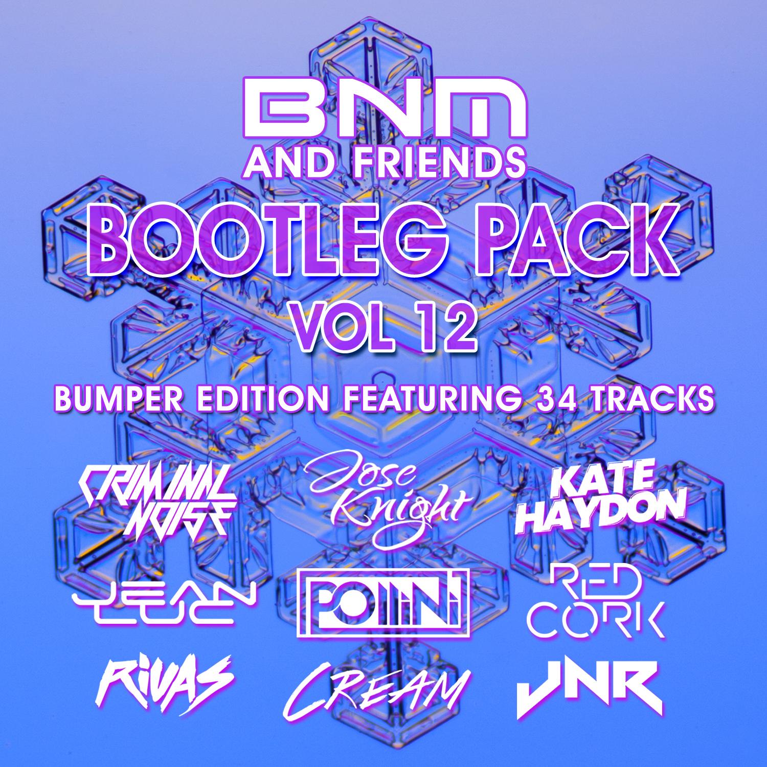 BNM & Friends 12 - Bootleg/Mashup/Edit Pack - 34 Tech House, Electro House, Deep House Tracks by ...