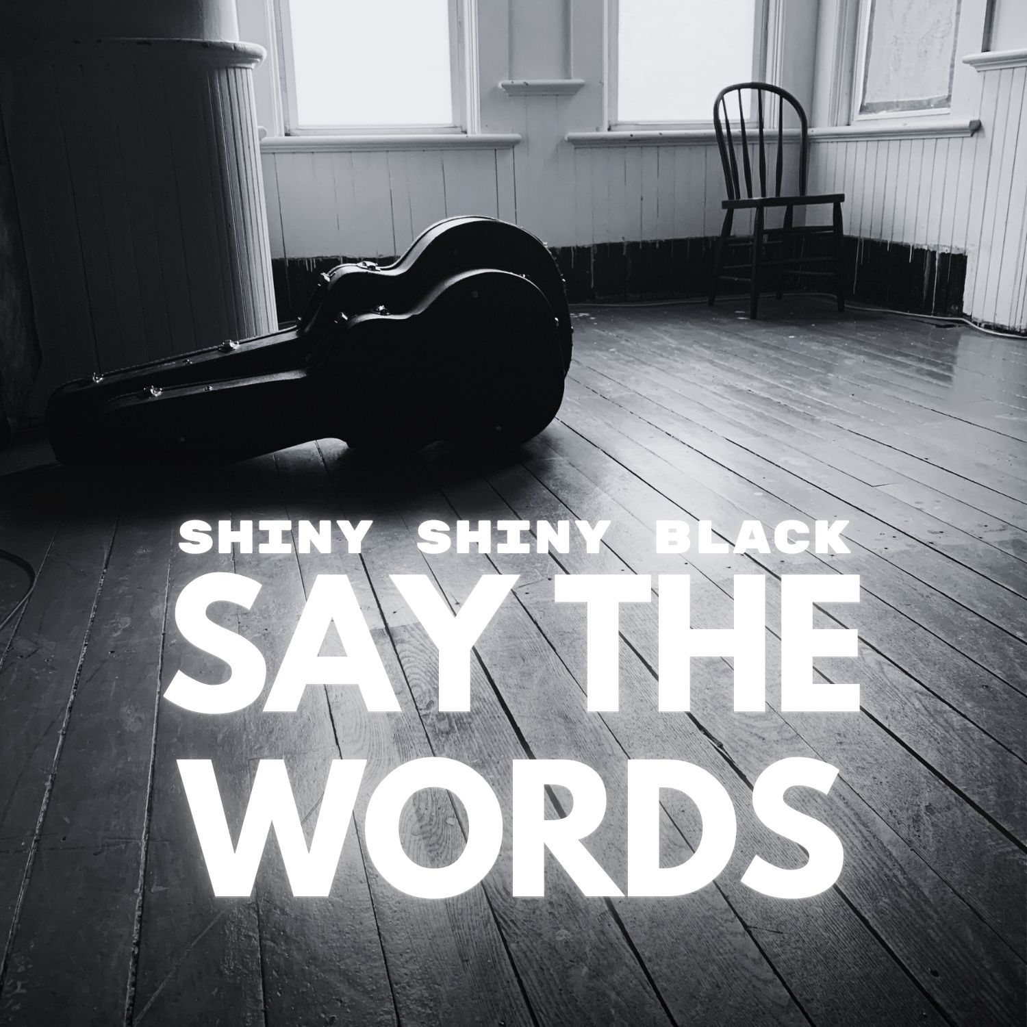 Say the Words by Shiny Shiny Black