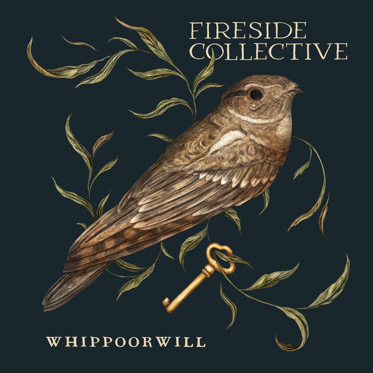 Whippoorwill by Fireside Collective