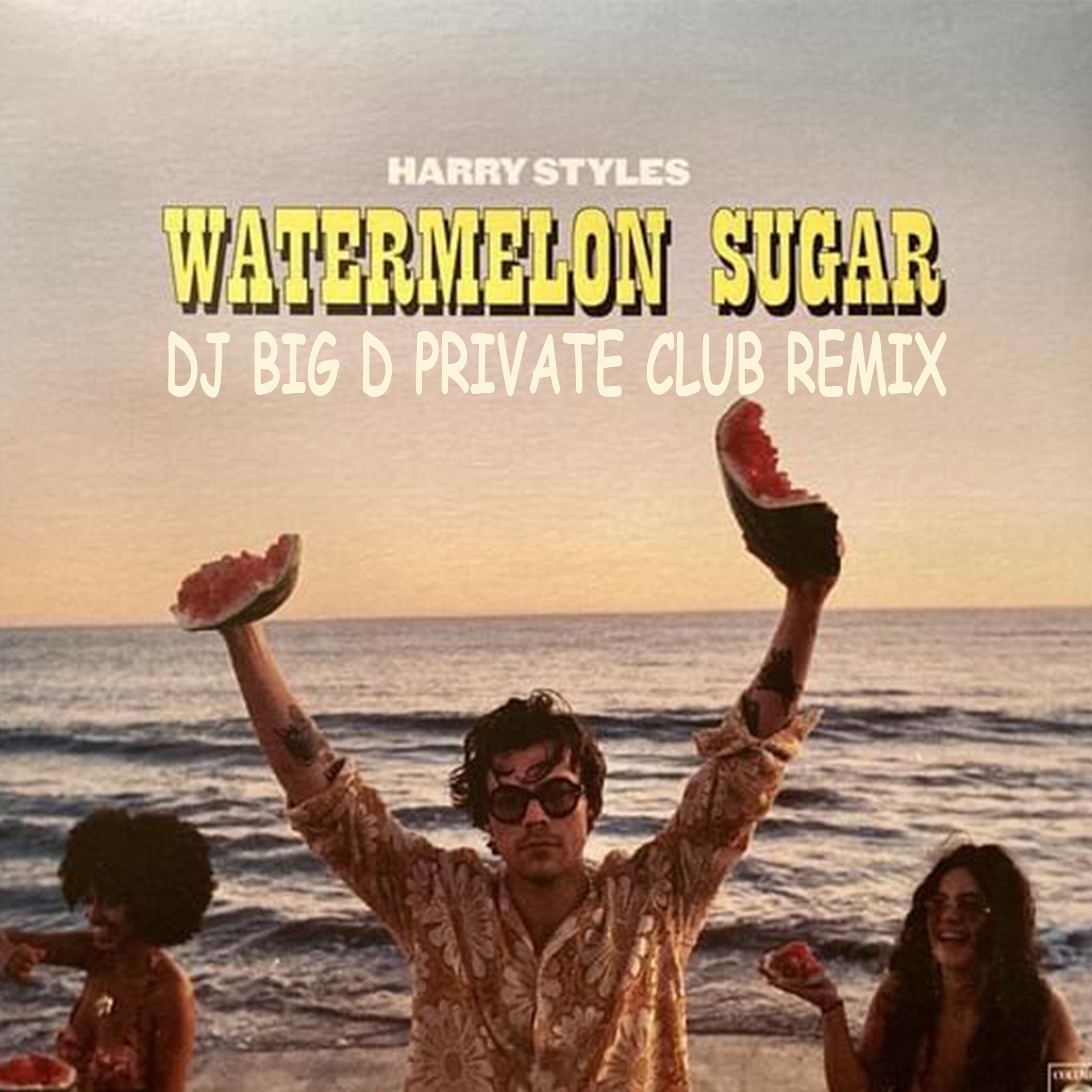 Harry Styles - Watermelon Sugar (Dj Big D private club remix) by DJ BIG ...