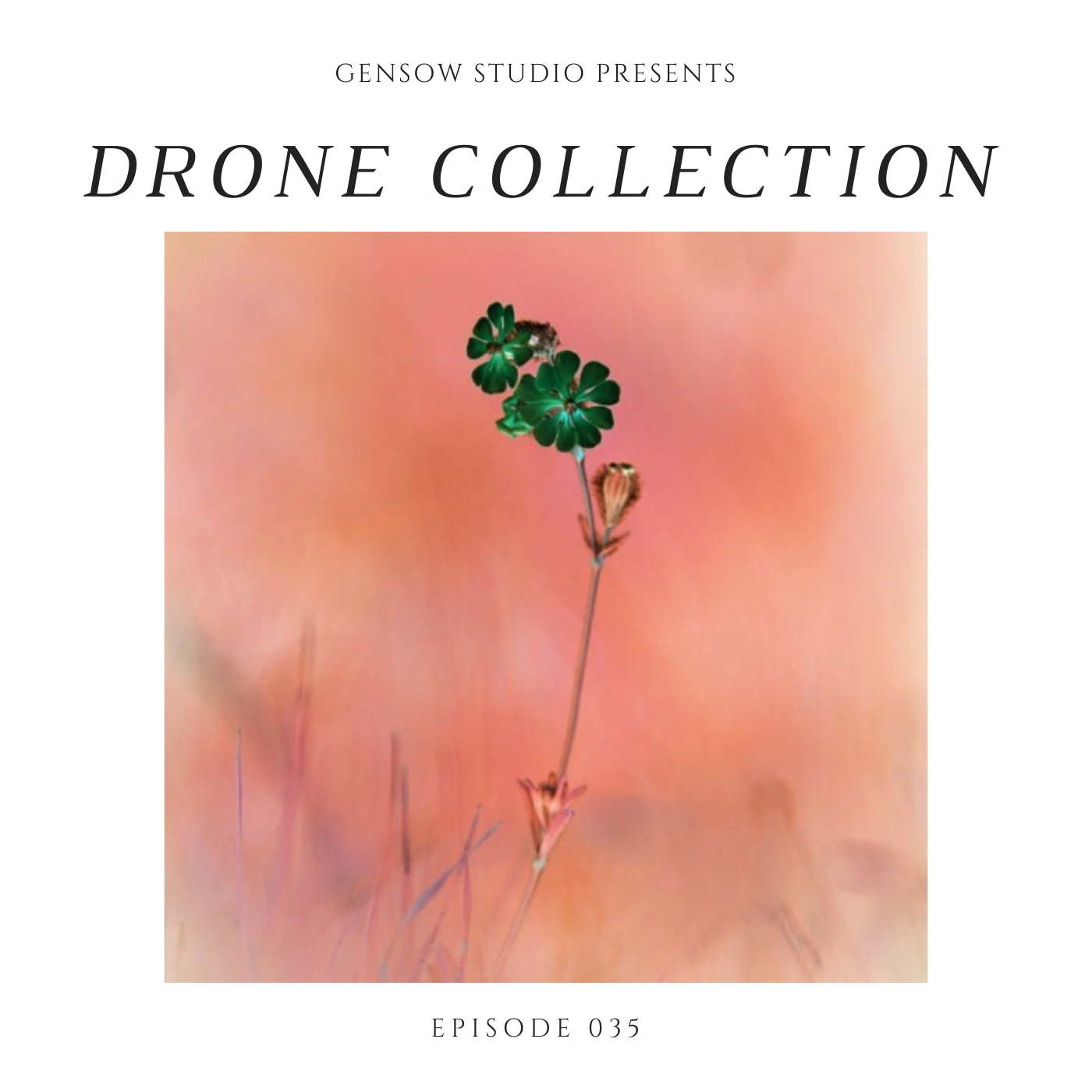 [FREE DOWNLOAD] Drone Sample Pack - Ambient, Cinematic Soundscapes ...