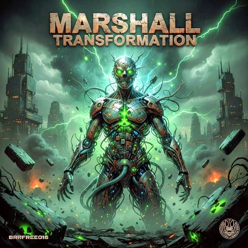 Bass Rabbit Recordings by Marshall - Transformation [Free Download ...