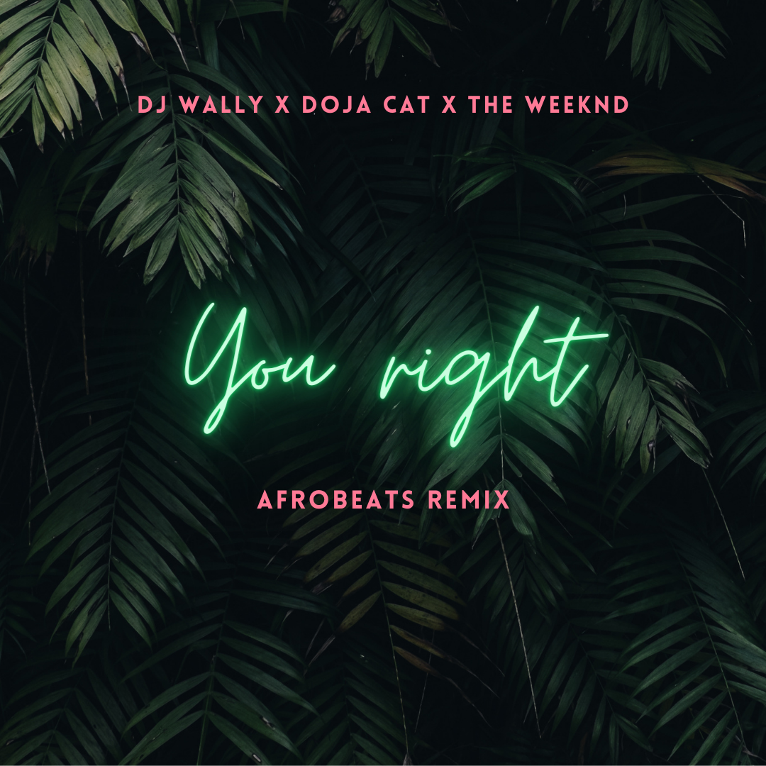You Right (Afro Remix) by Dj Wally x Doja Cat x The Weeknd