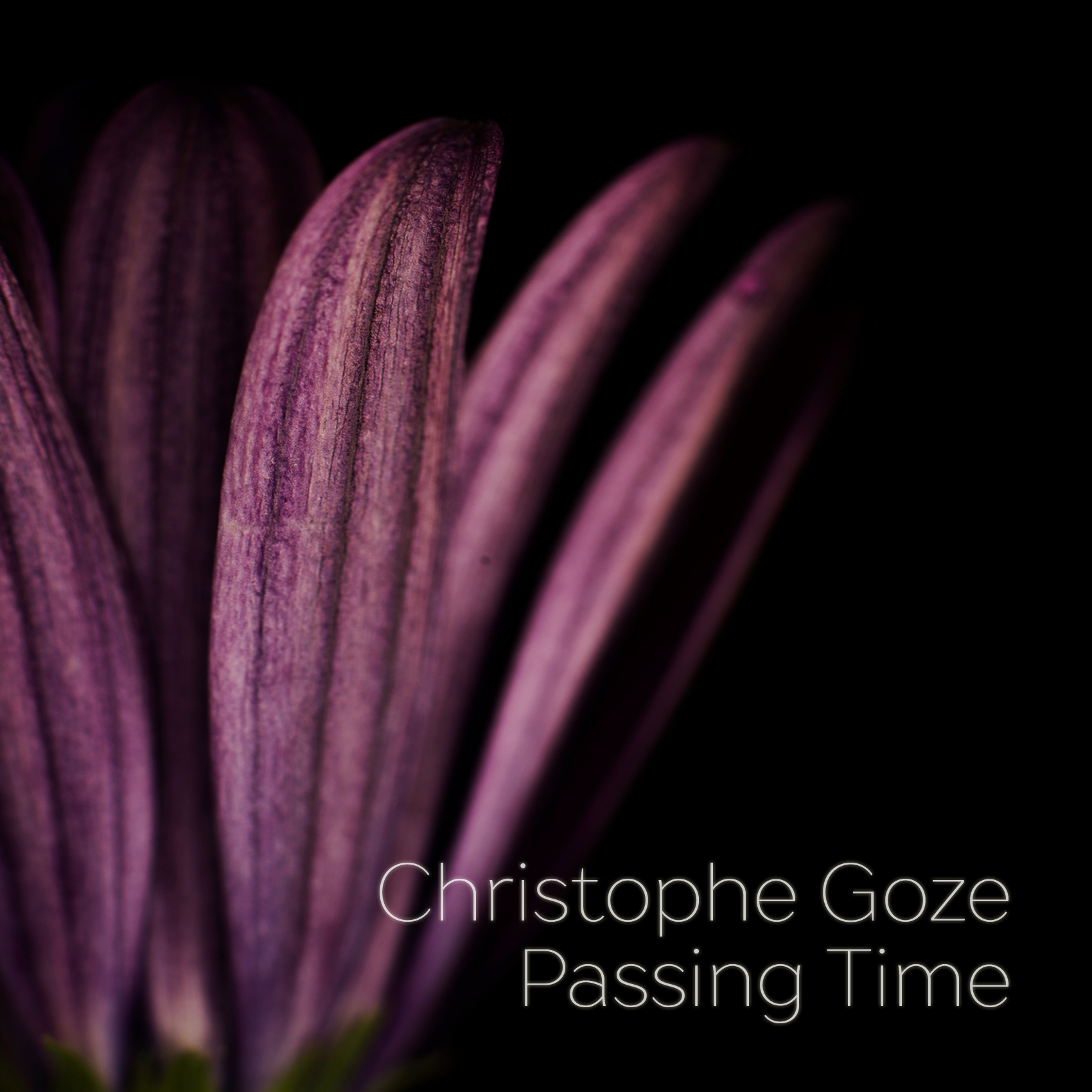 Passing Time by Christophe Goze