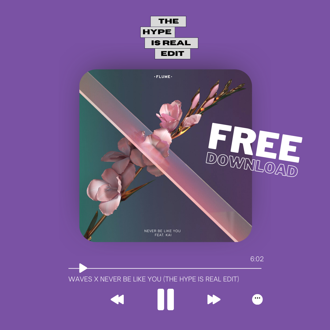 Waves x Never Be Like You (The Hype Is Real Edit) by Lizwi, Ahmed Spins x Flume | Free Download ...
