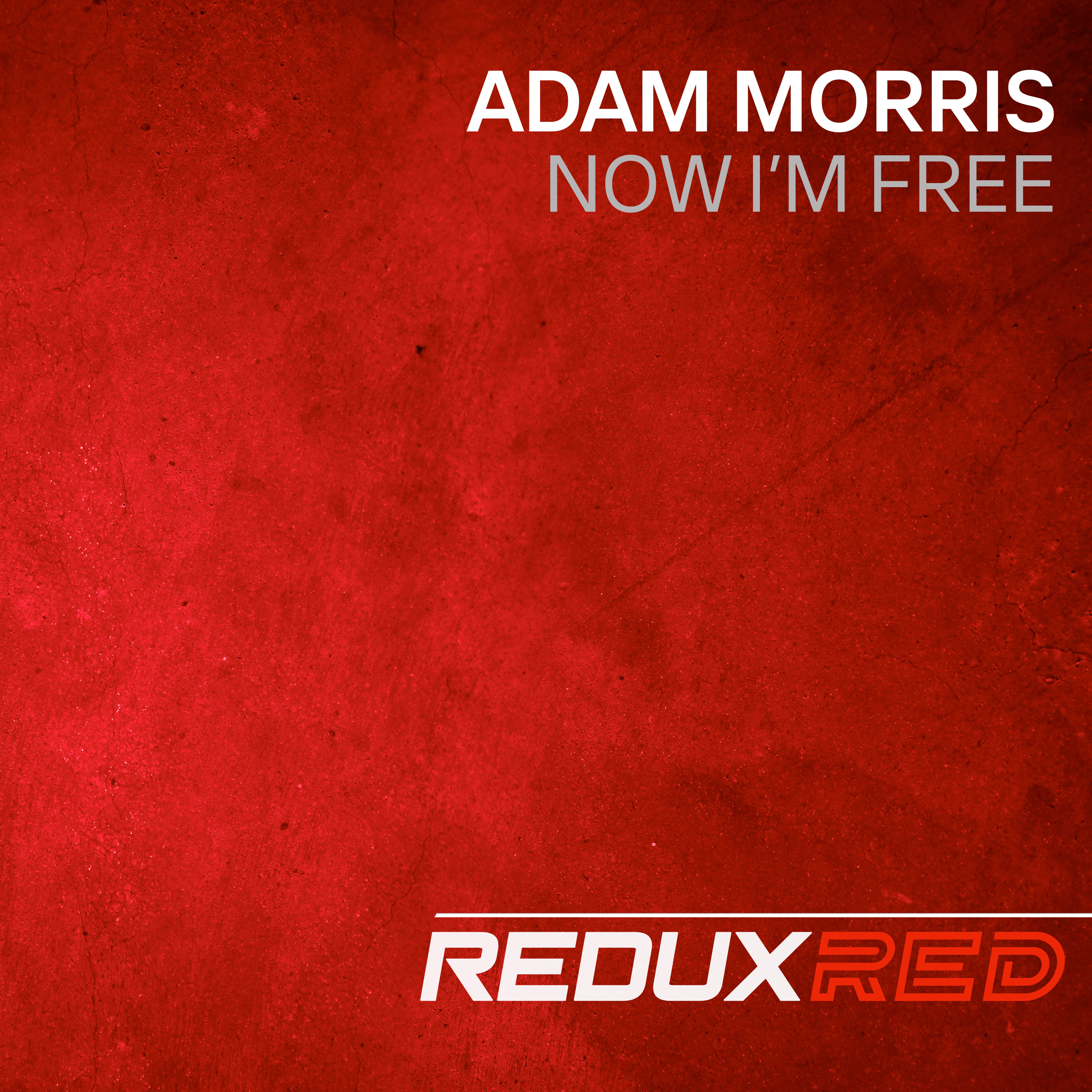 Now I'm Free by Adam Morris