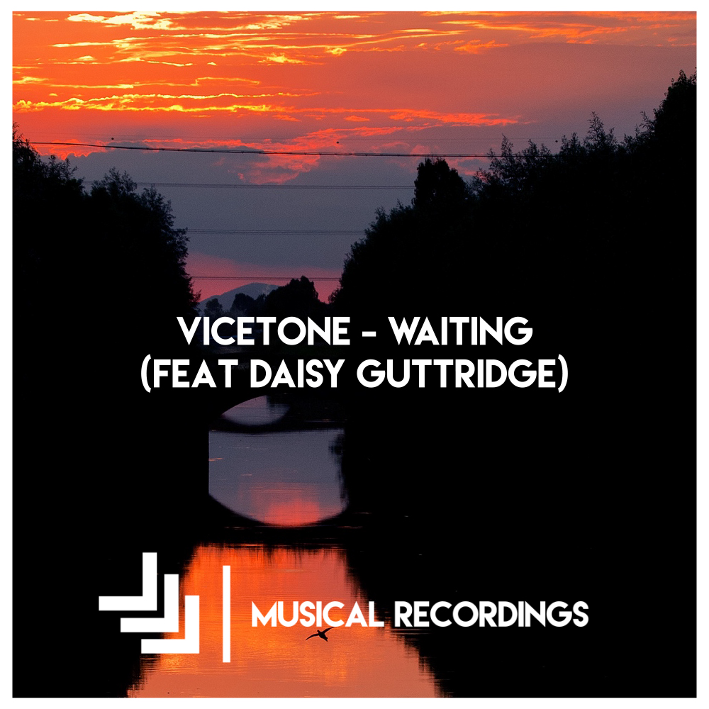 Vicetone - Waiting (feat. Daisy Guttridge) by Musical Recordings | Free Download on Hypeddit