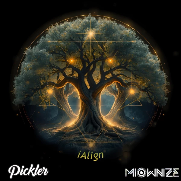 iAlign by Pickler & MioWnize | Free Download on Hypeddit