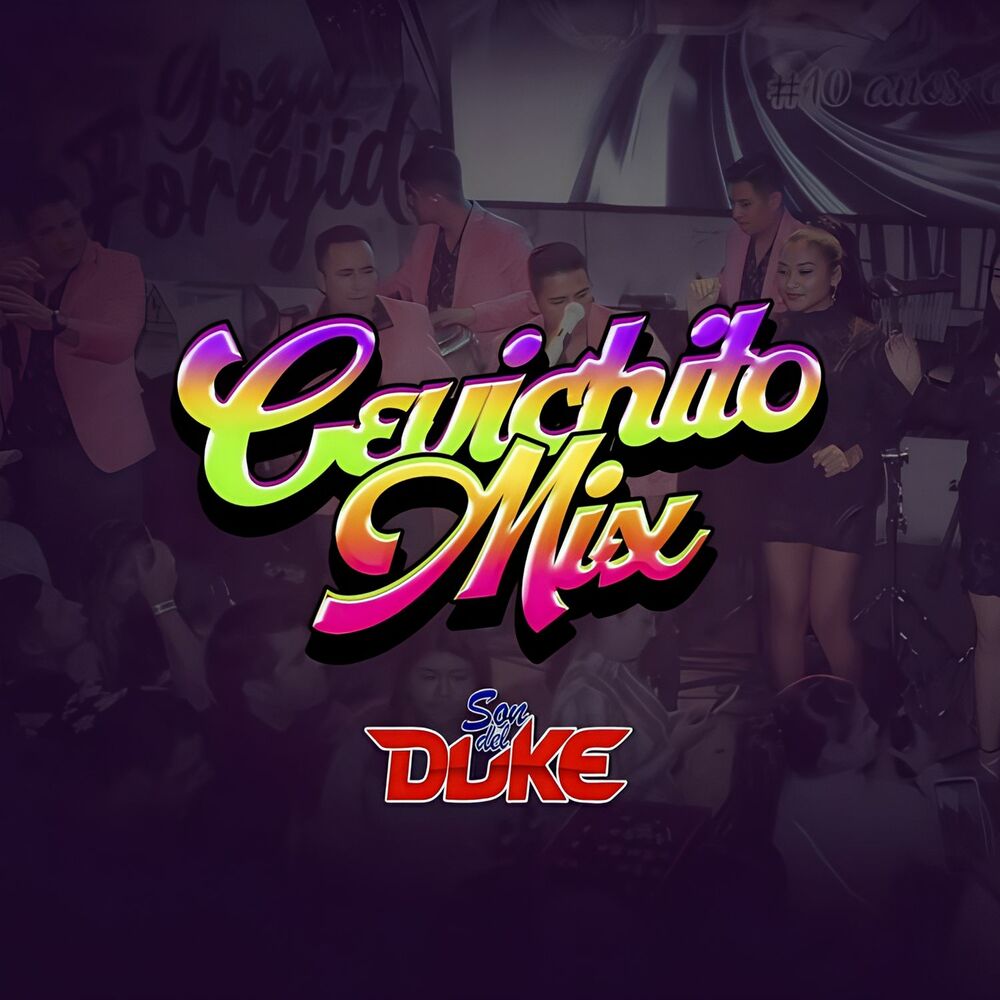 Son del duke - Mix cevichito by Dj Leex | Hypeddit