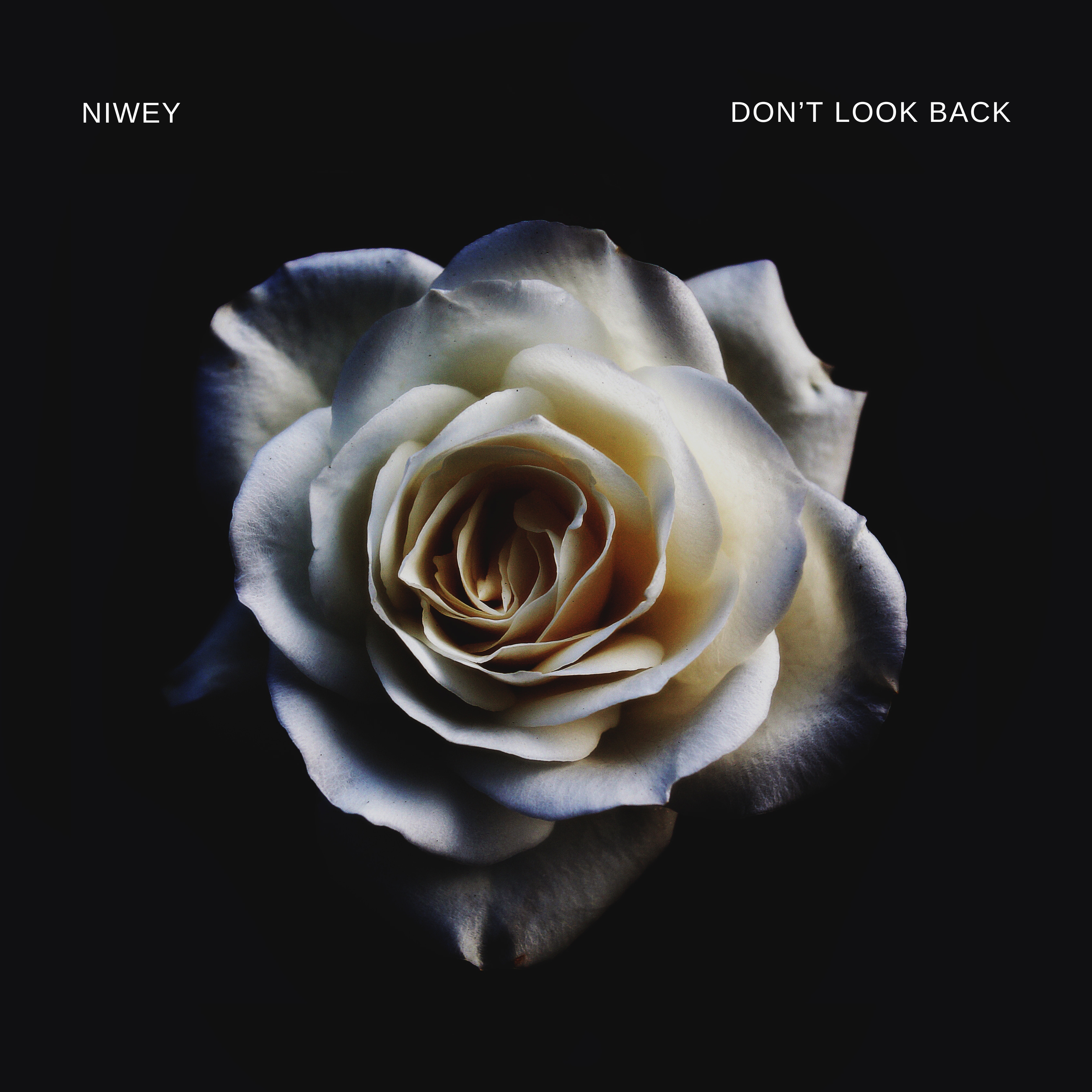 Don't Look Back by Niwey | Free Download on Hypeddit