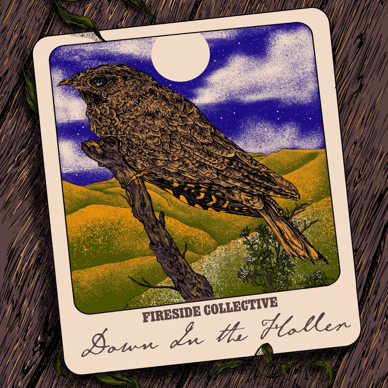 Down In the Holler by Fireside Collective